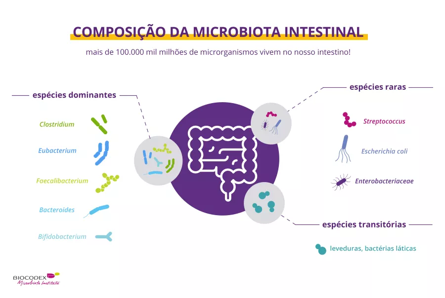 A microbiota intestinal | Conteúdo para o público geral | Instituto da ...